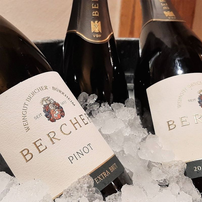 Bercher Pinot Extra Brut 2018 | Wein-Genuss.de